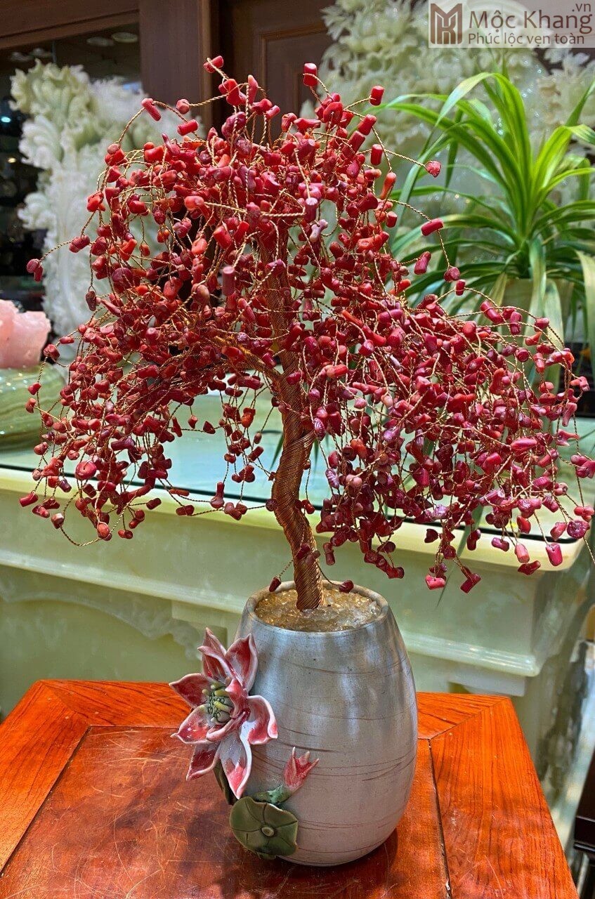 Cây Tài Lộc Đá San Hô Đỏ Cao 40 Ngang 30(cm) - Mộc Khang