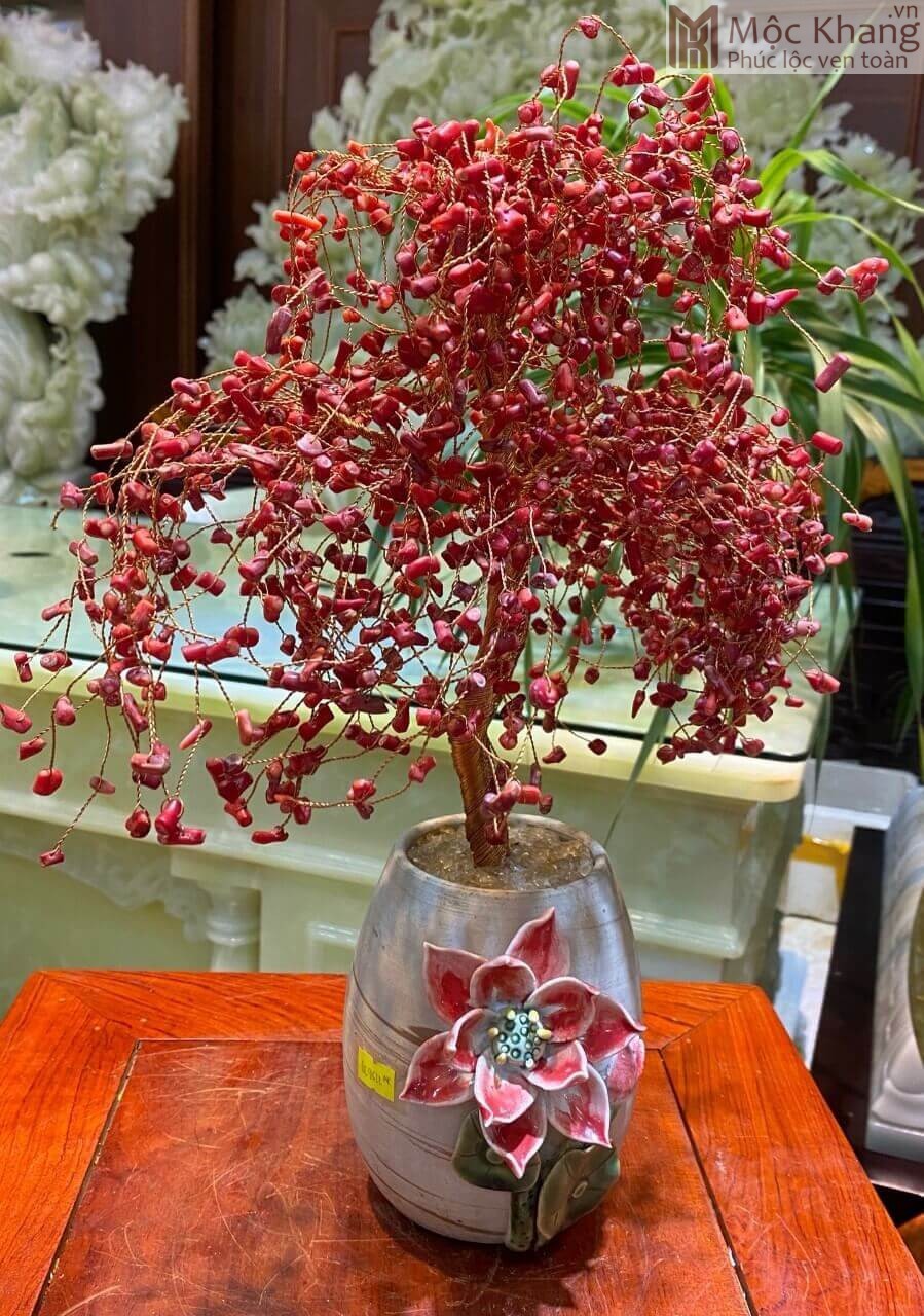 Cây Tài Lộc Đá San Hô Đỏ Cao 40 Ngang 30(cm) - Mộc Khang