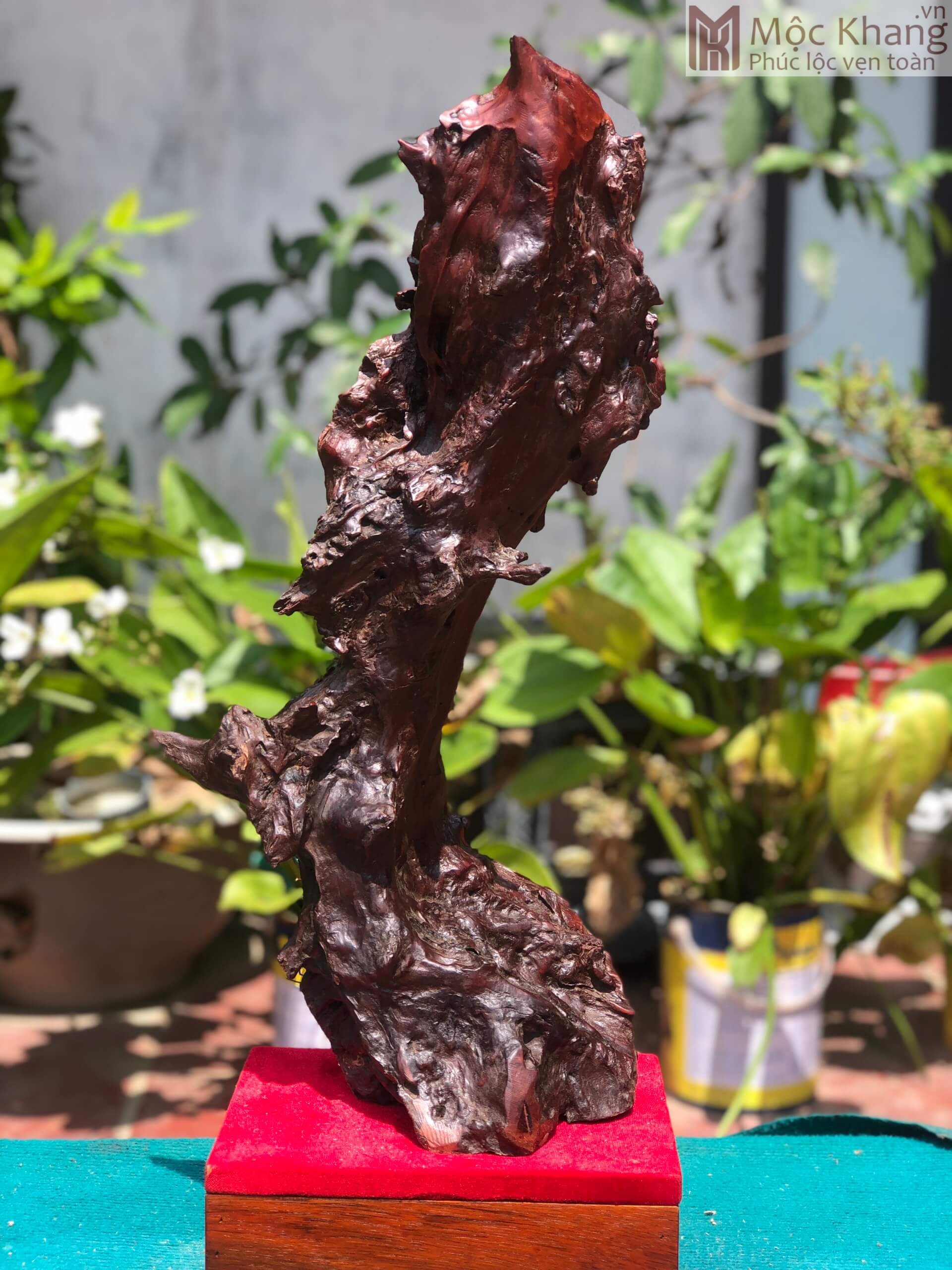 Tượng Nhất Tâm Bái Phật Gỗ Đinh Hương Cao 70 Ngang 25 Sâu 18 (cm) - Mộc ...