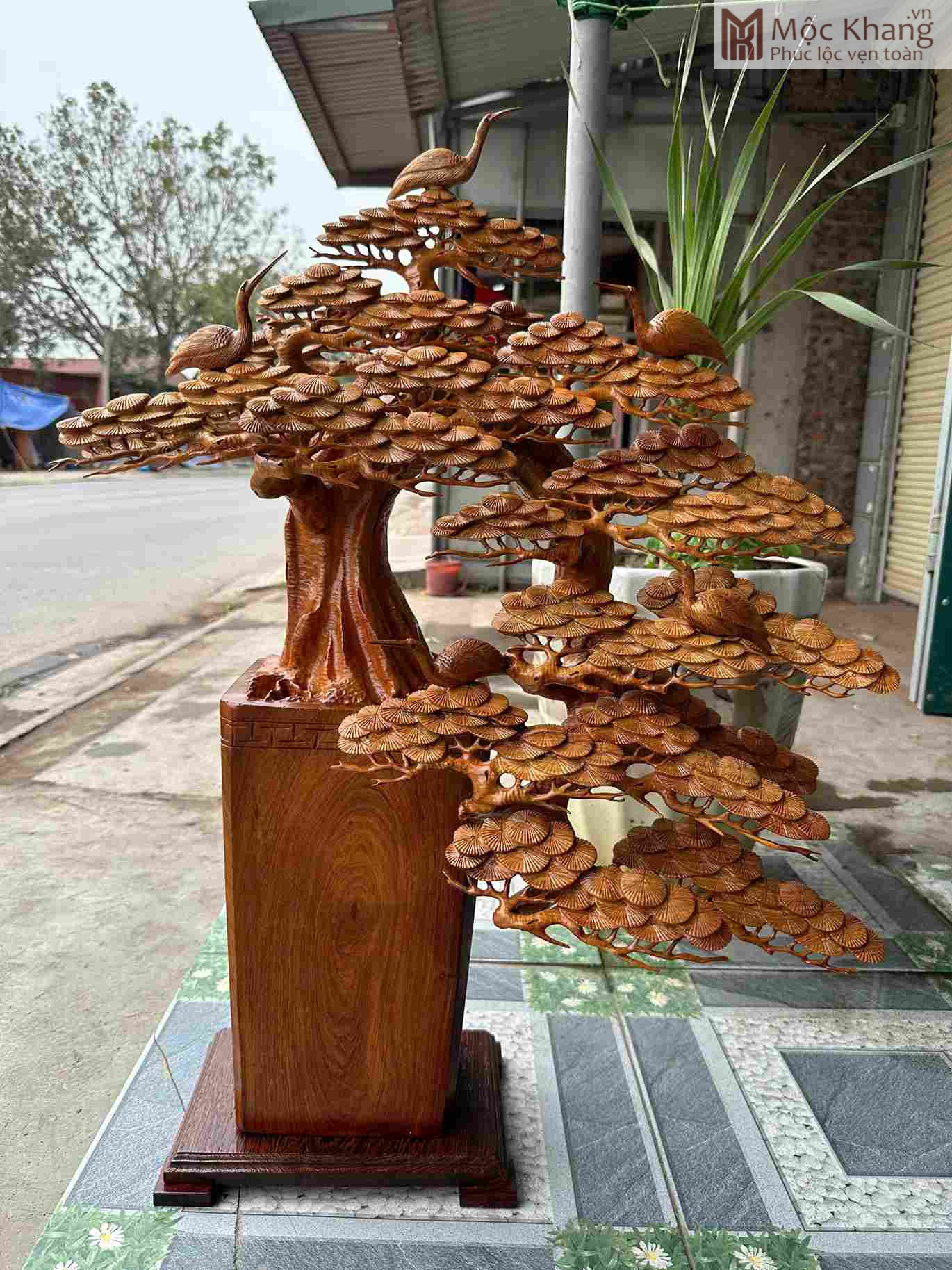 Cây Tùng Bonsai Gỗ Hương Cao 90 Ngang 70 Sâu 35 (cm) - Mộc Khang