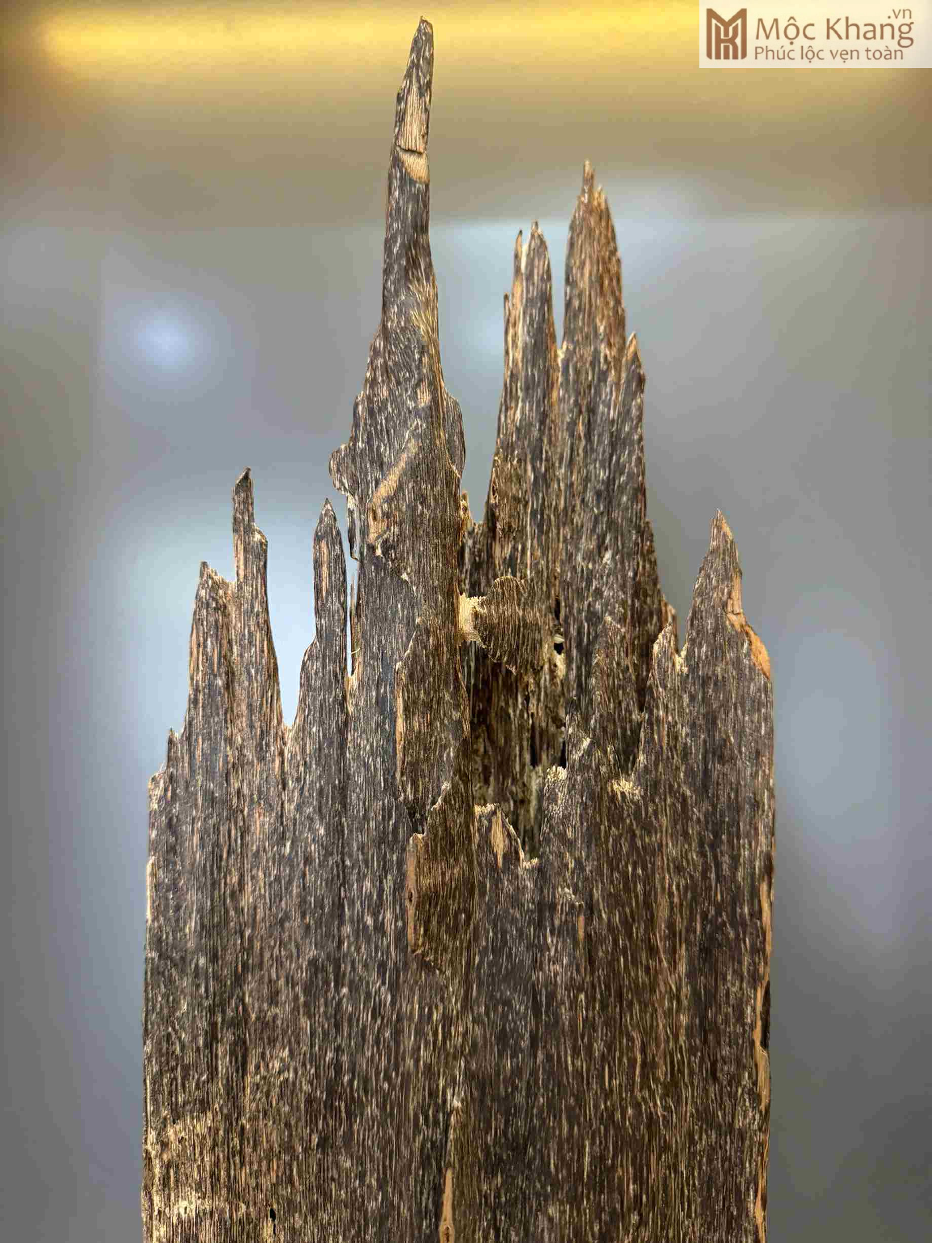 Trầm Hương Nguyên Khối Cao 43 Ngang 15 (cm) - Mộc Khang