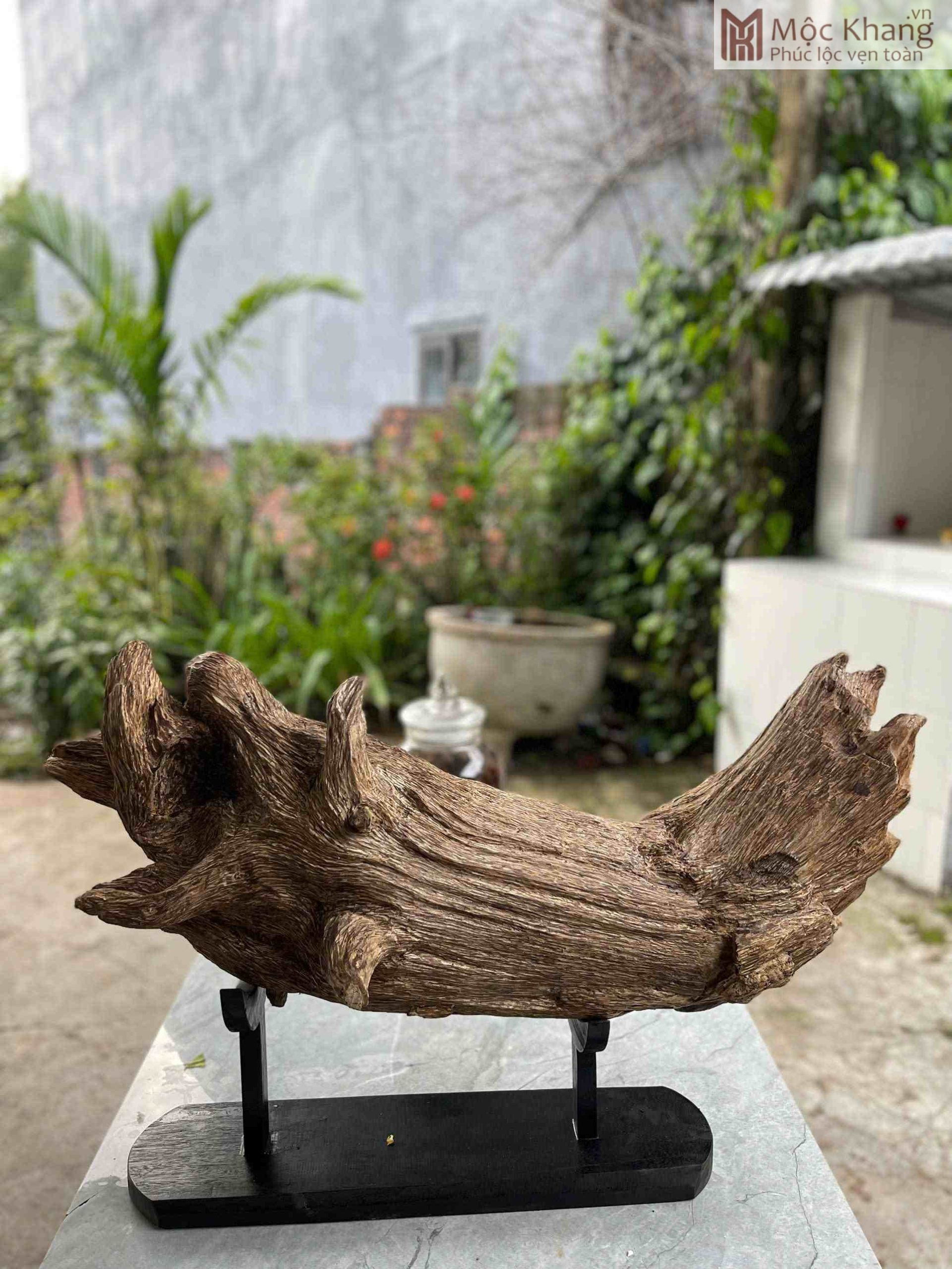 Trầm Hương Nguyên Khối Cao 66 (cm) - Mộc Khang