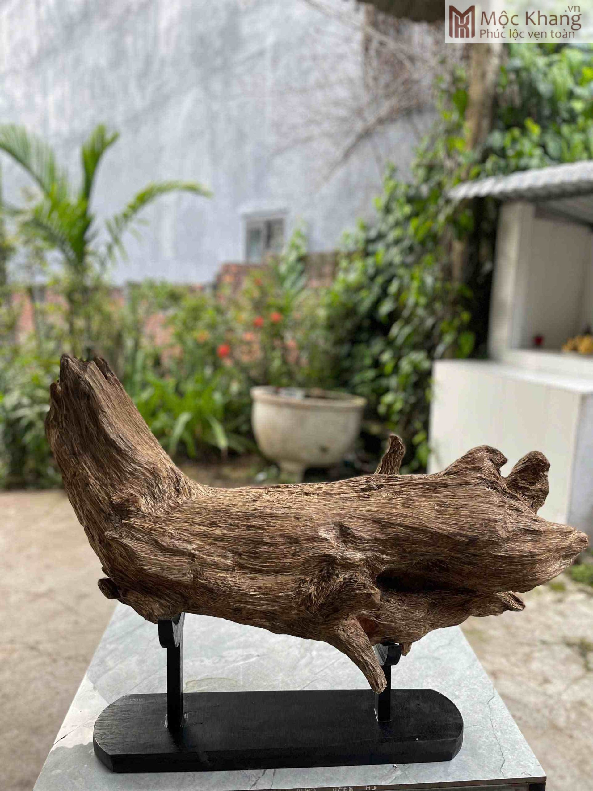 Trầm Hương Nguyên Khối Cao 66 (cm) - Mộc Khang