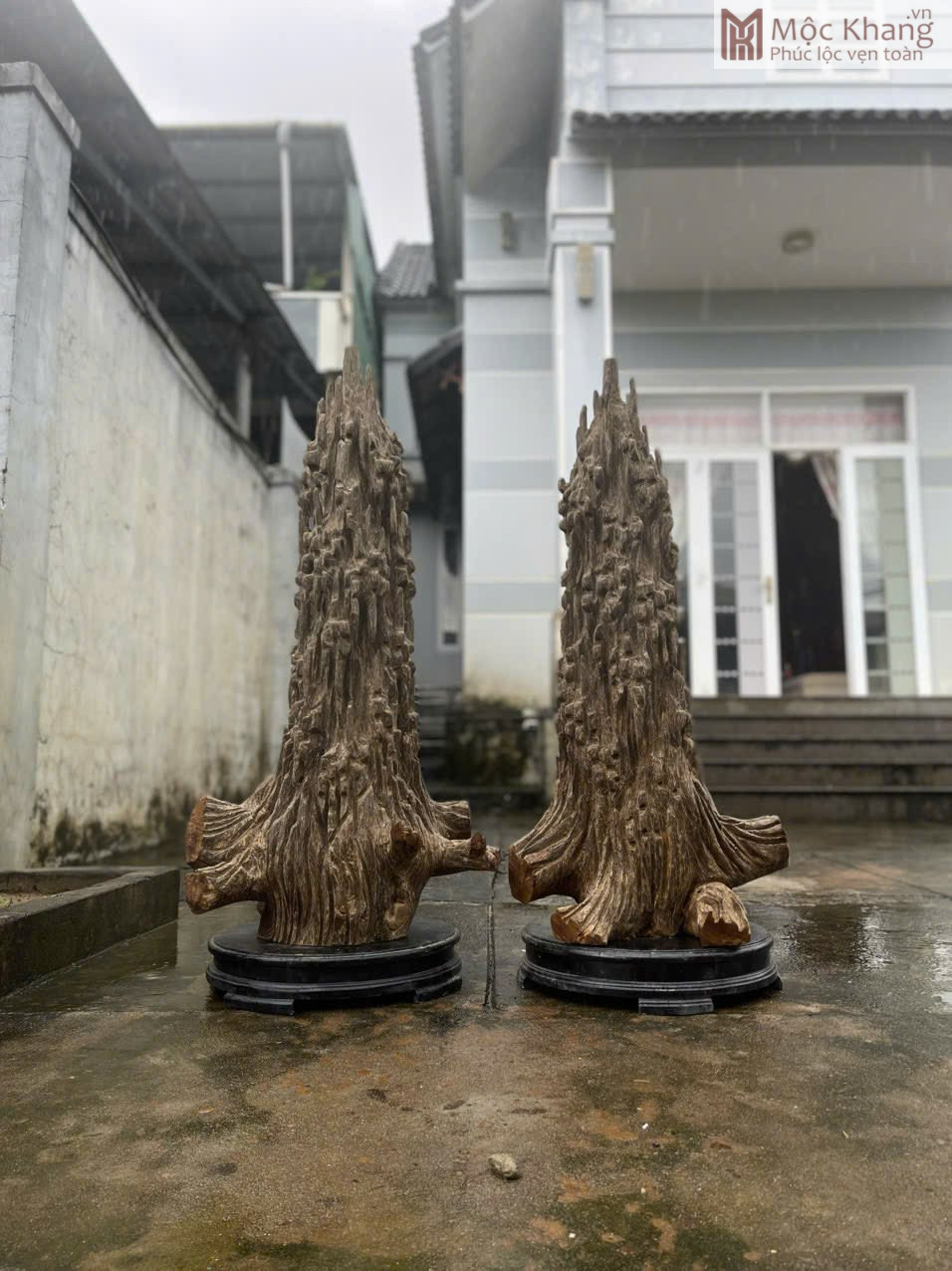 Cặp Trầm Hương Cảnh Nguyên Khối Cao 100 (cm) - Mộc Khang